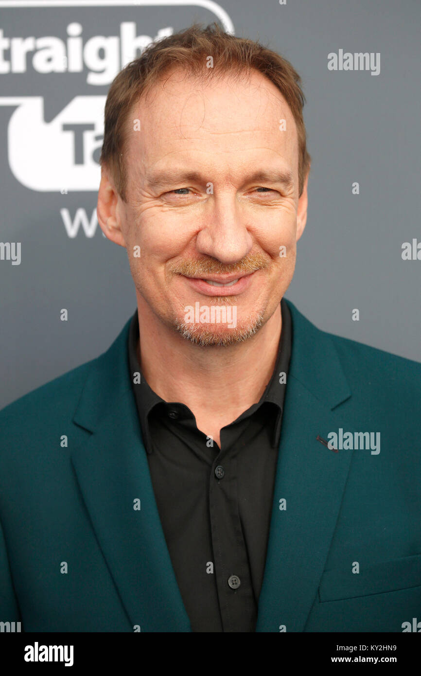 David Thewlis attends the 23rd Annual Critics' Choice Awards at Barker ...
