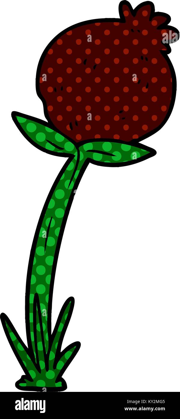 Seed head poppy Stock Vector Images - Alamy