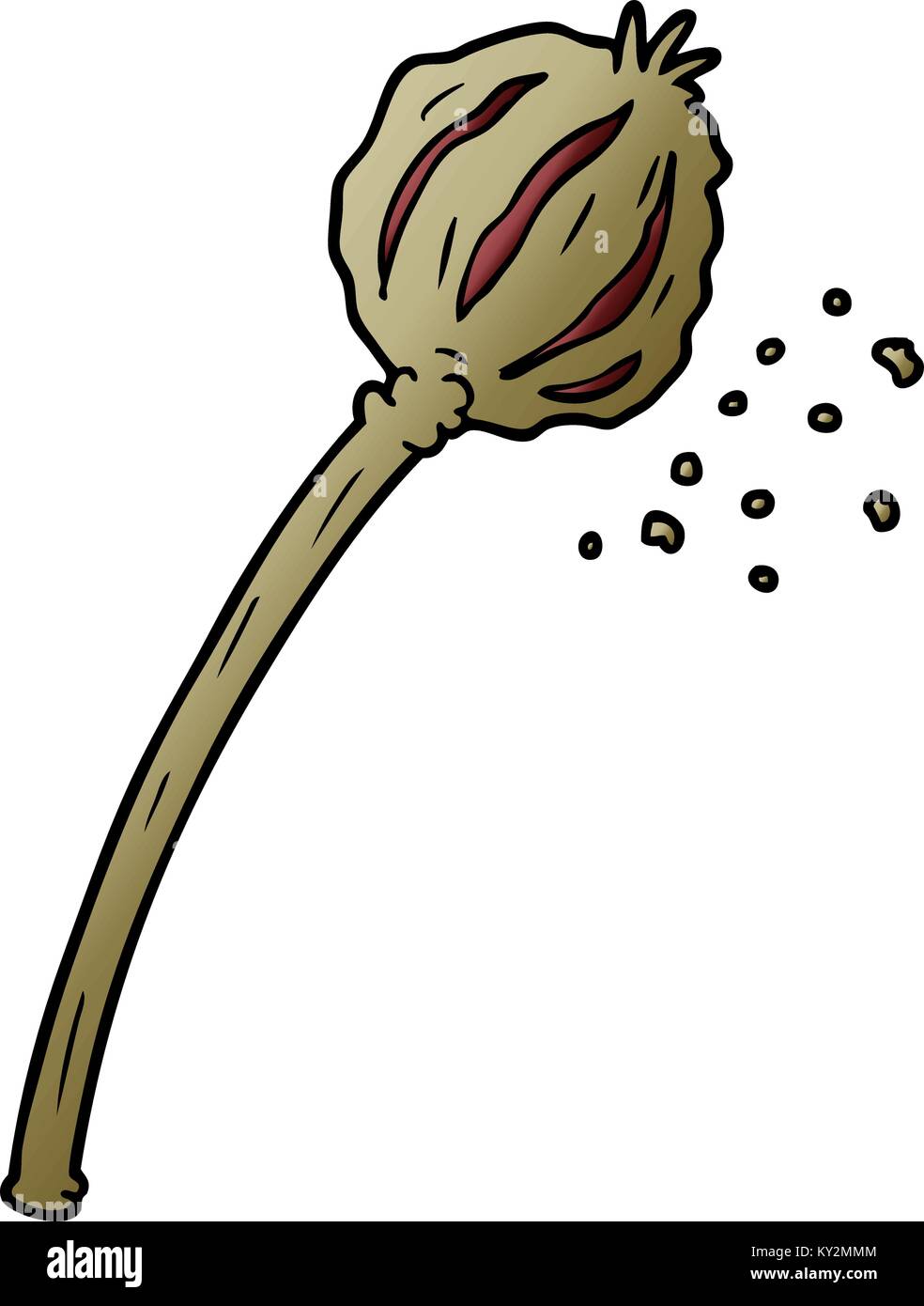 dried poppy cartoon Stock Vector Image & Art - Alamy