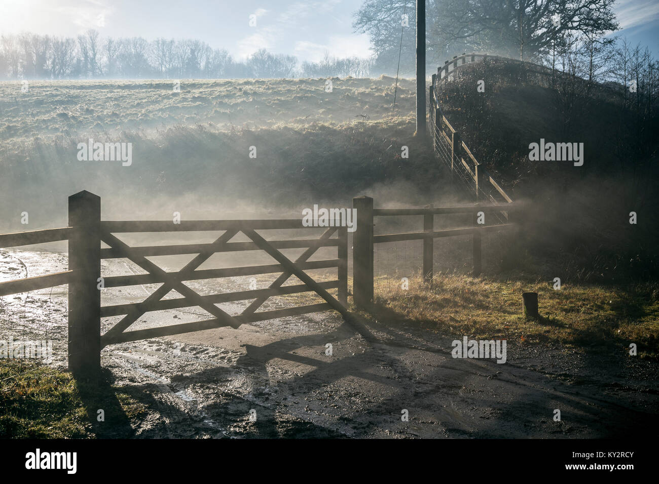 misty morning in Devon,to rain in fine drops; drizzle; mist.haze, fog ...