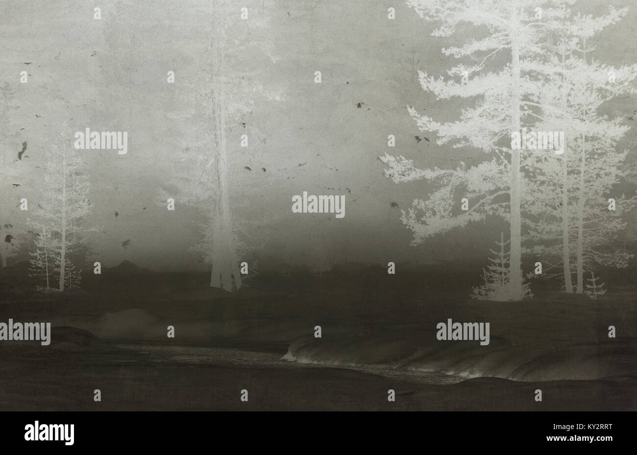 Creepy texture hi-res stock photography and images - Alamy