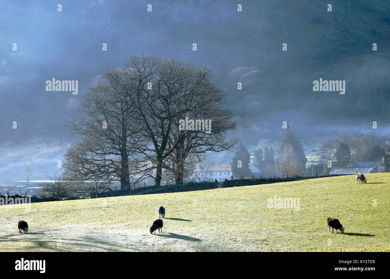 Rolling Pastures High Resolution Stock Photography and Images - Alamy