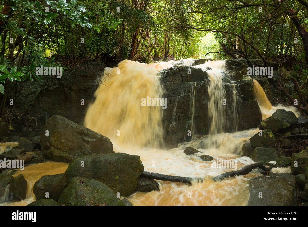 Affluent Waterfall in rain season on island Koh Samui, Thailand Stock ...