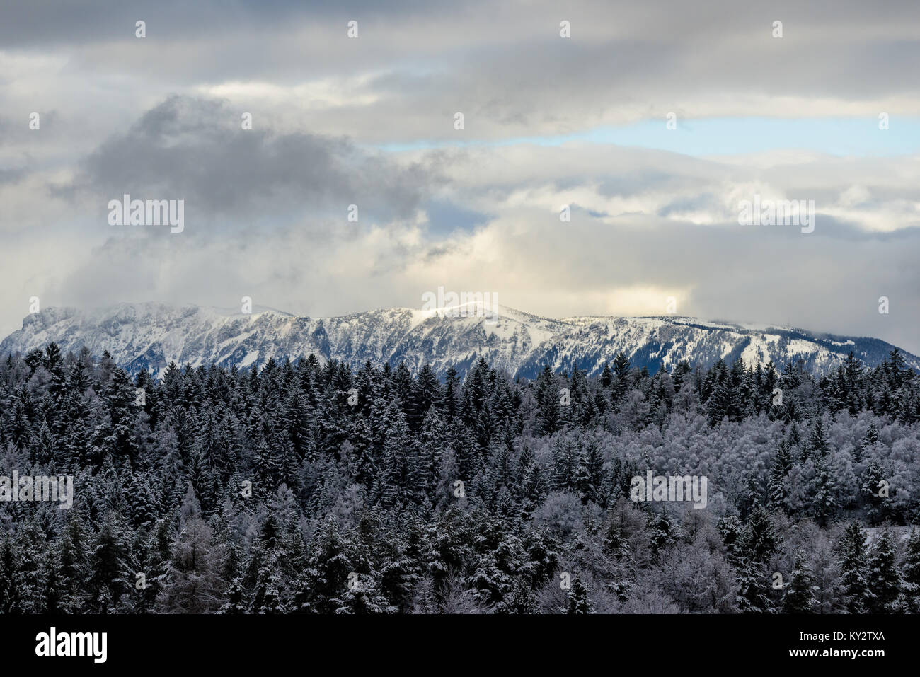 Winter Landscape Color