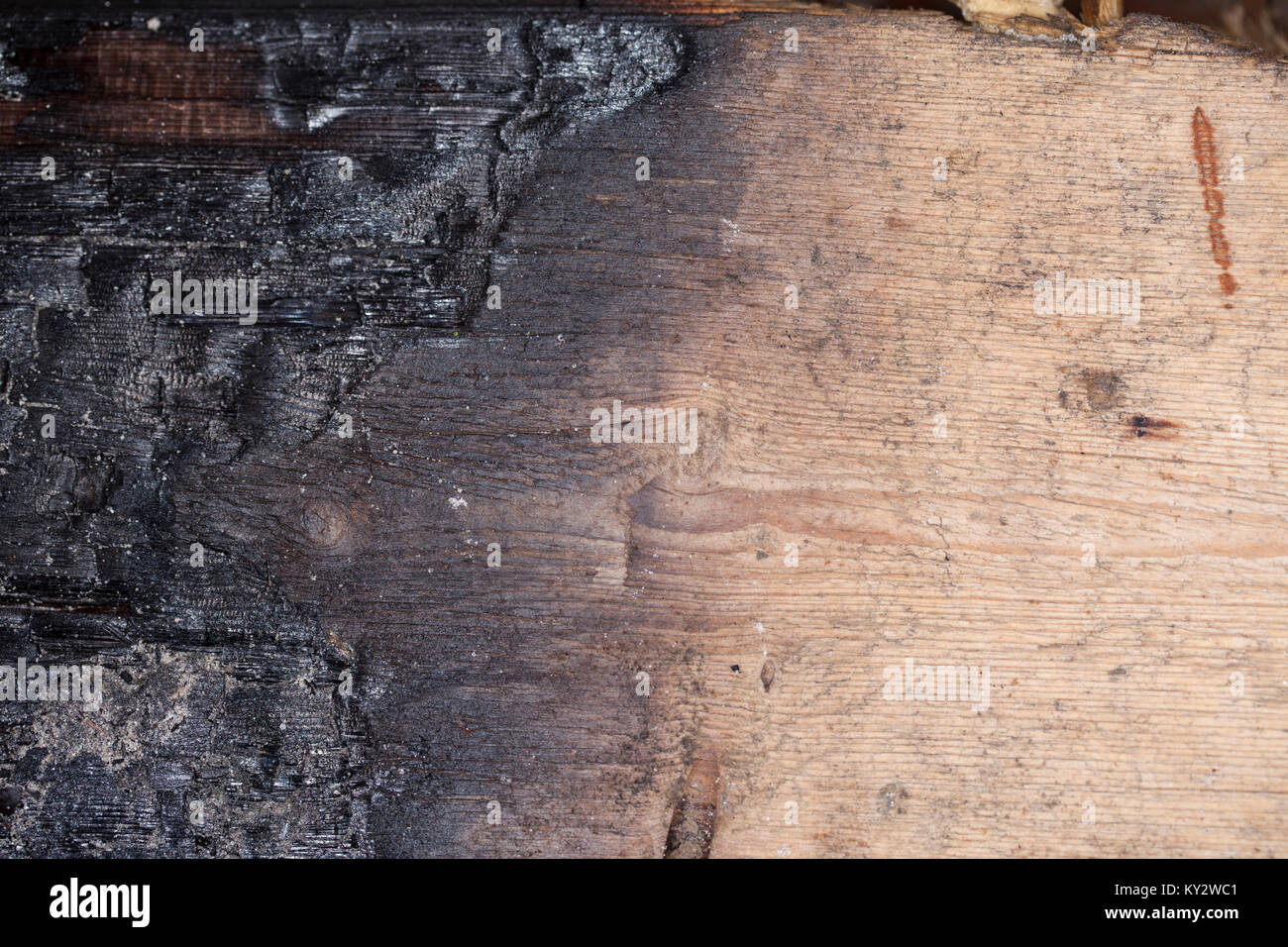 burned tree, black color, closeup, background Stock Photo - Alamy