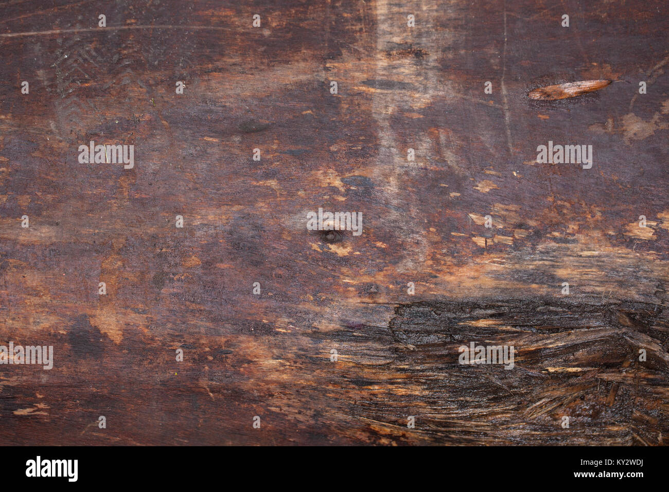 tree without bark, background close up Stock Photo - Alamy