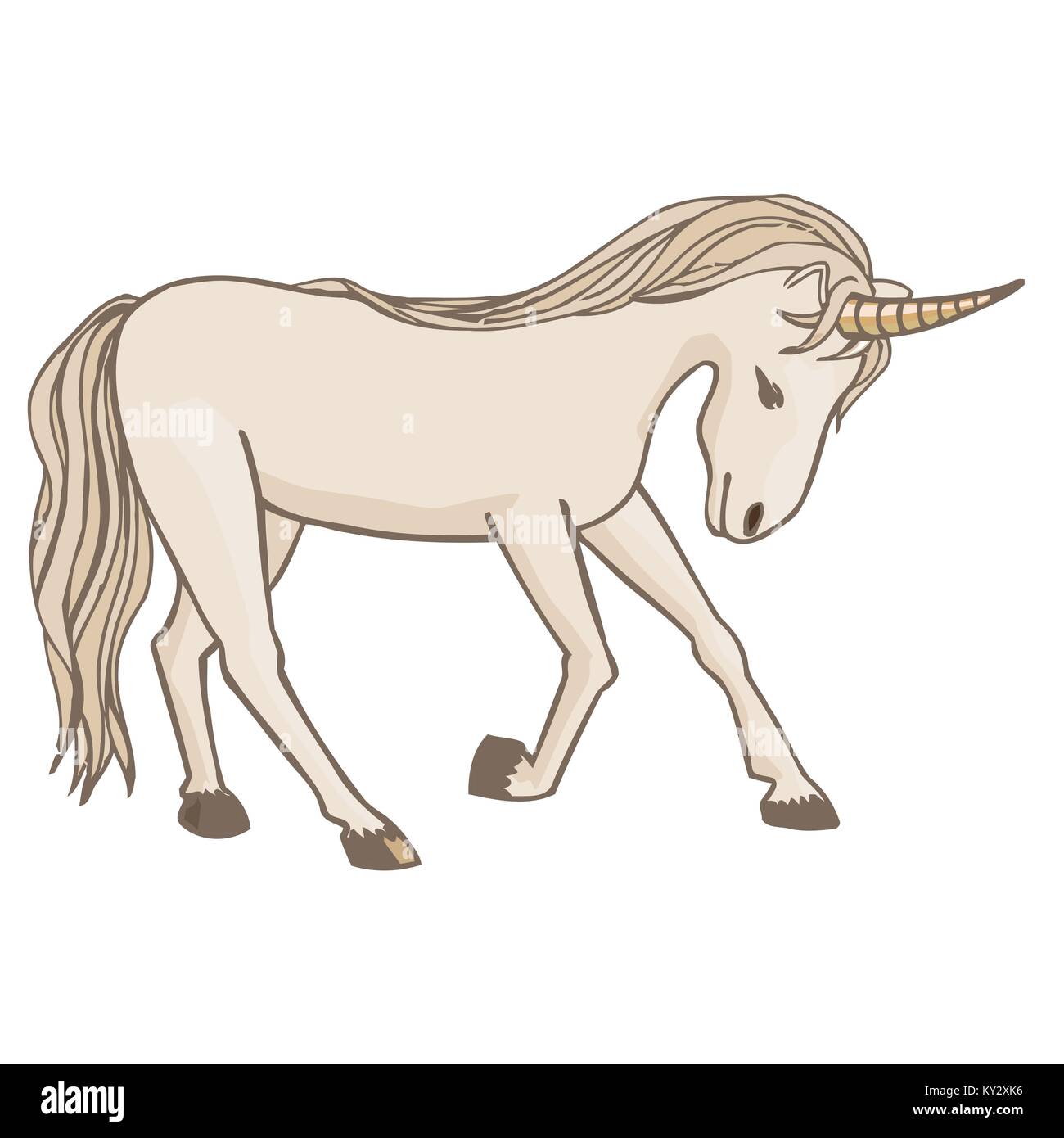 Unicorn. A fabulous horse with a horn Stock Vector Image & Art - Alamy