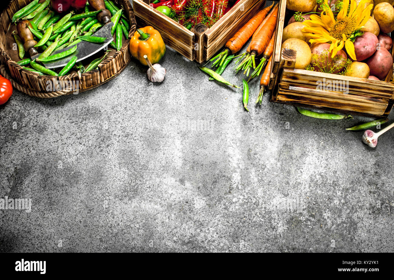 Organic food. Fresh crop of vegetables in boxes. On a rustic background ...