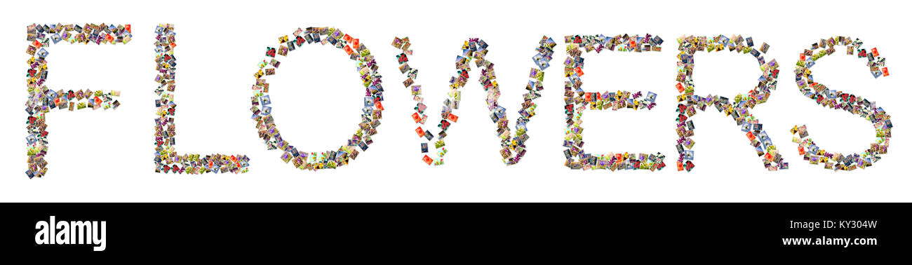 word flowers typed by manny flower photos Stock Photo - Alamy