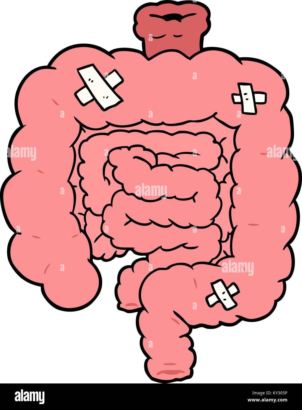 cartoon repaired intestines Stock Vector Image & Art - Alamy