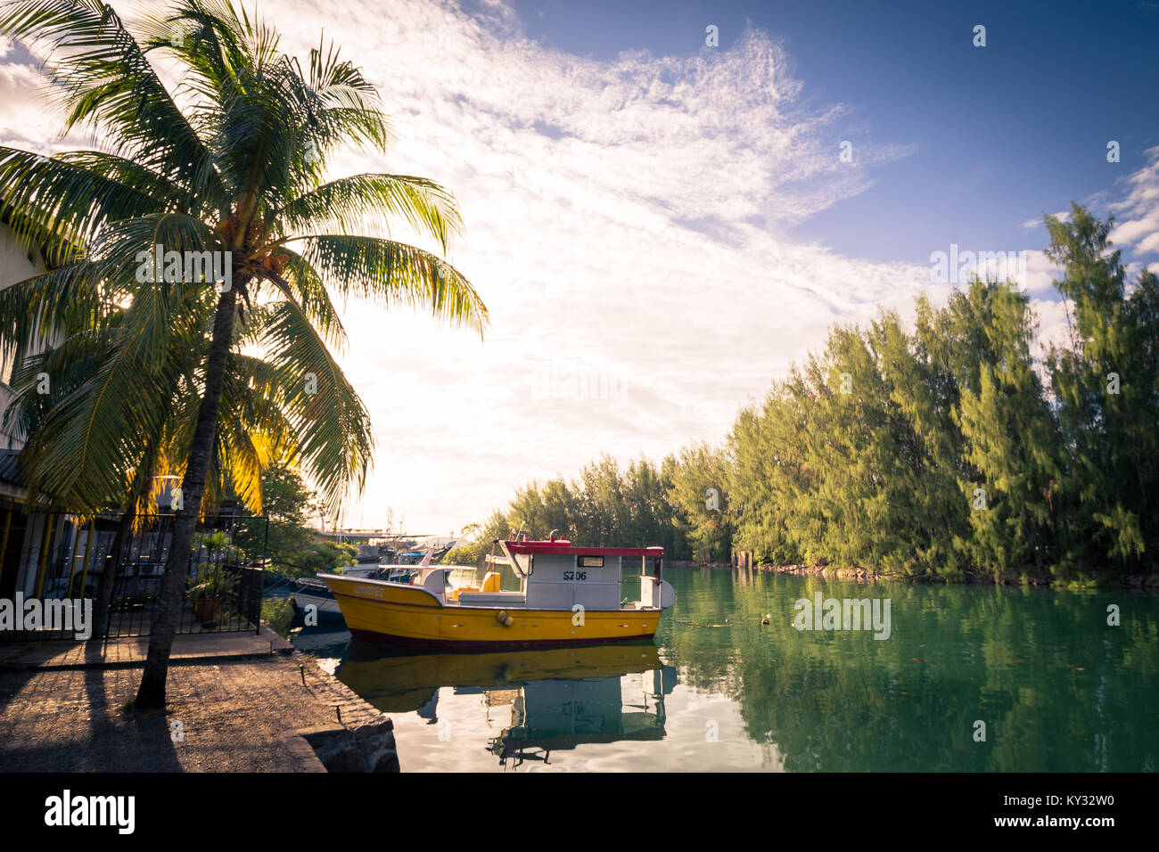 Small fishing boat in tropical harbour with palm tree in foreground ...
