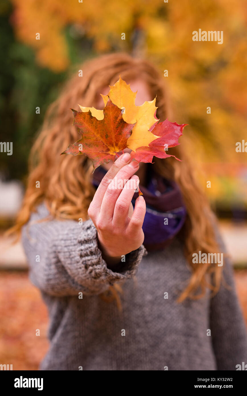Woman showing red, yellow and brown maple leaves Stock Photo - Alamy