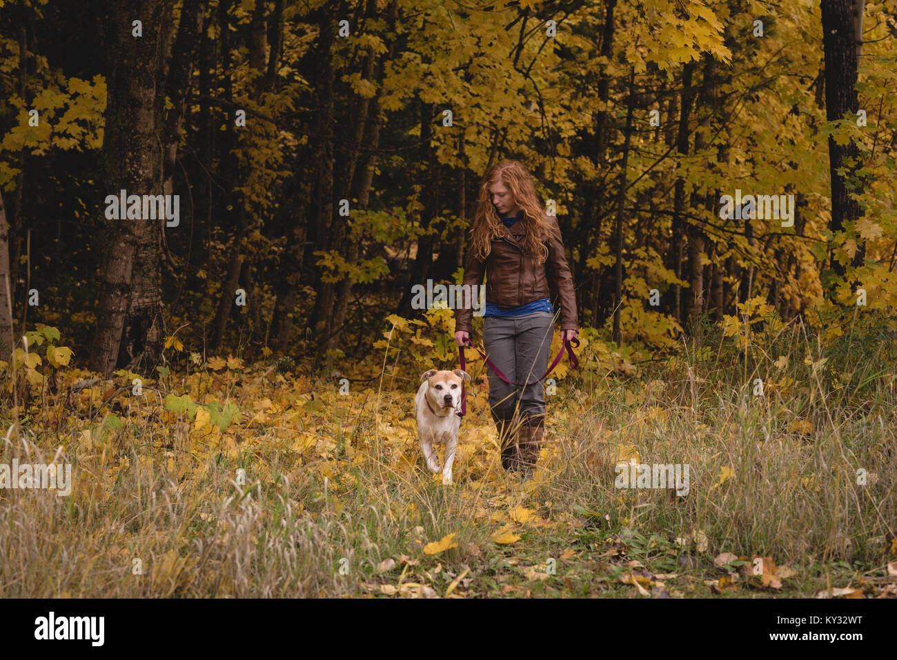 Woman walking dog in woods hi-res stock photography and images - Alamy