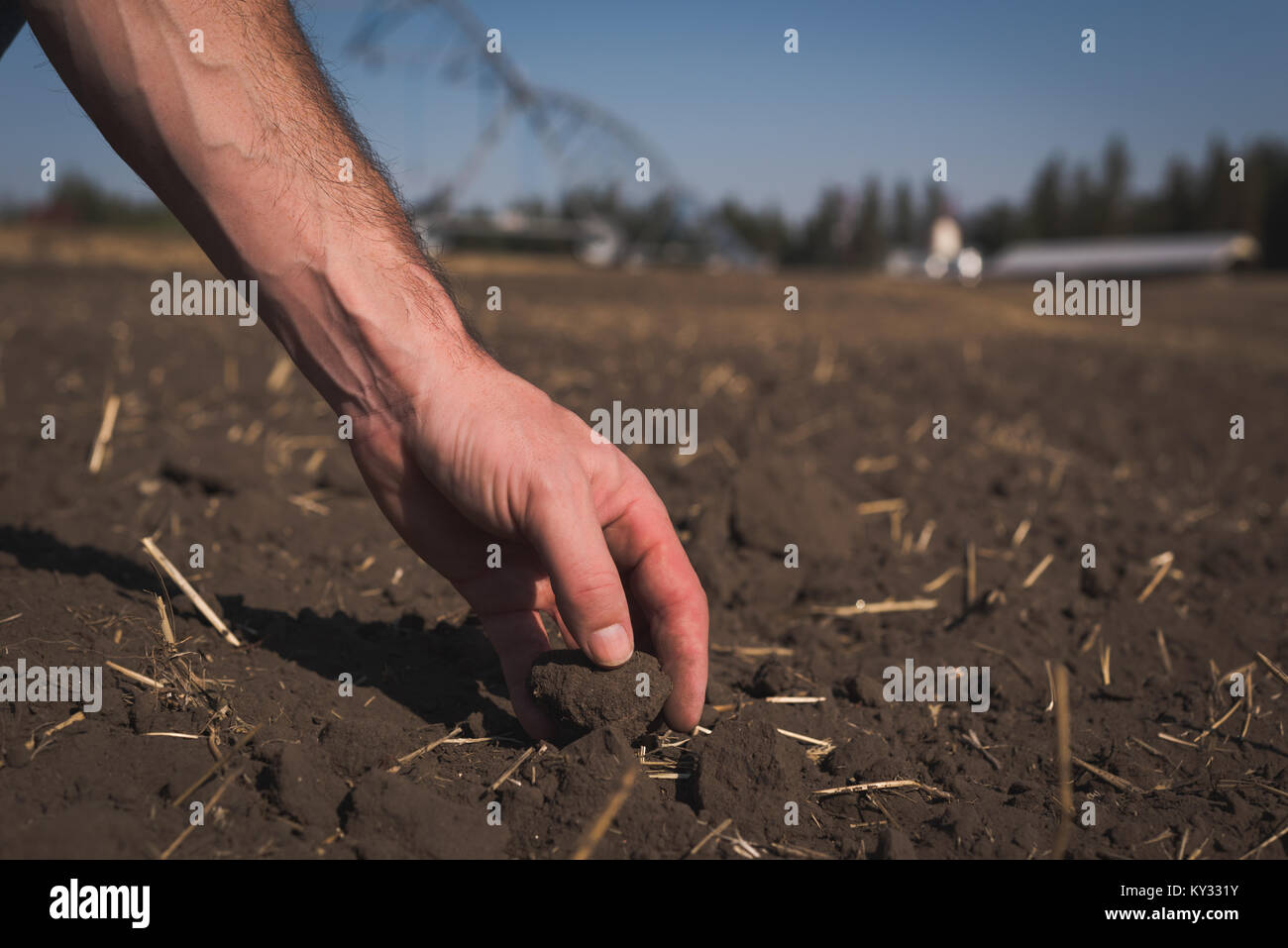 Fertile soil hi-res stock photography and images - Alamy