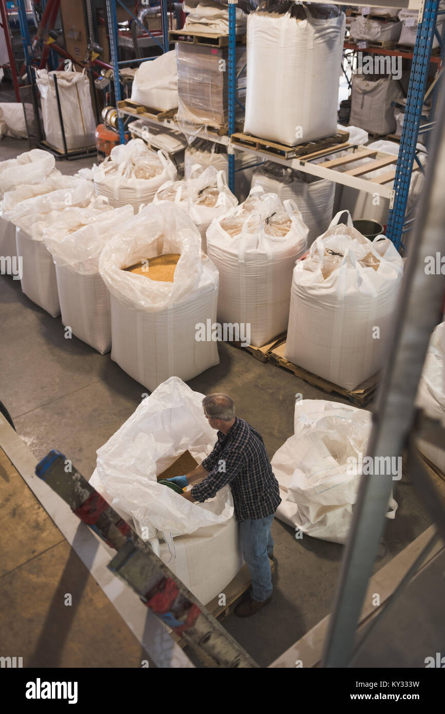 Man packing grains in sack Stock Photo - Alamy