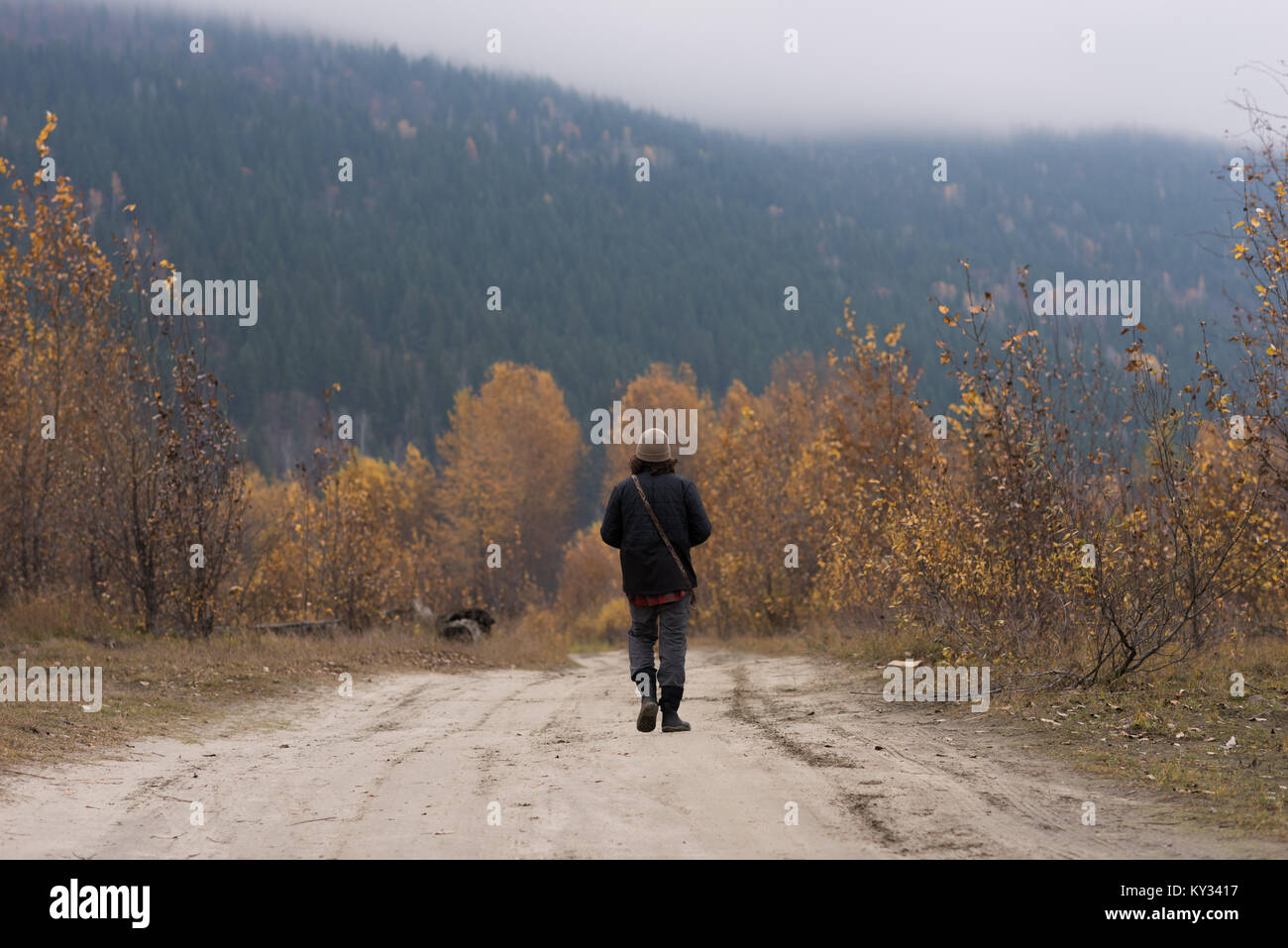 Man walking on empty path Stock Photo - Alamy