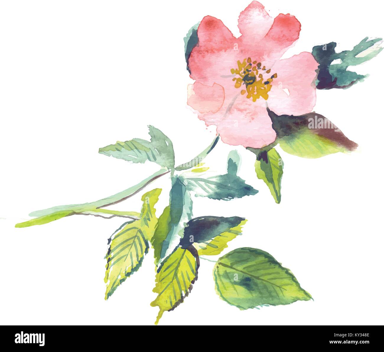 Rose seamless Cut Out Stock Images & Pictures - Alamy