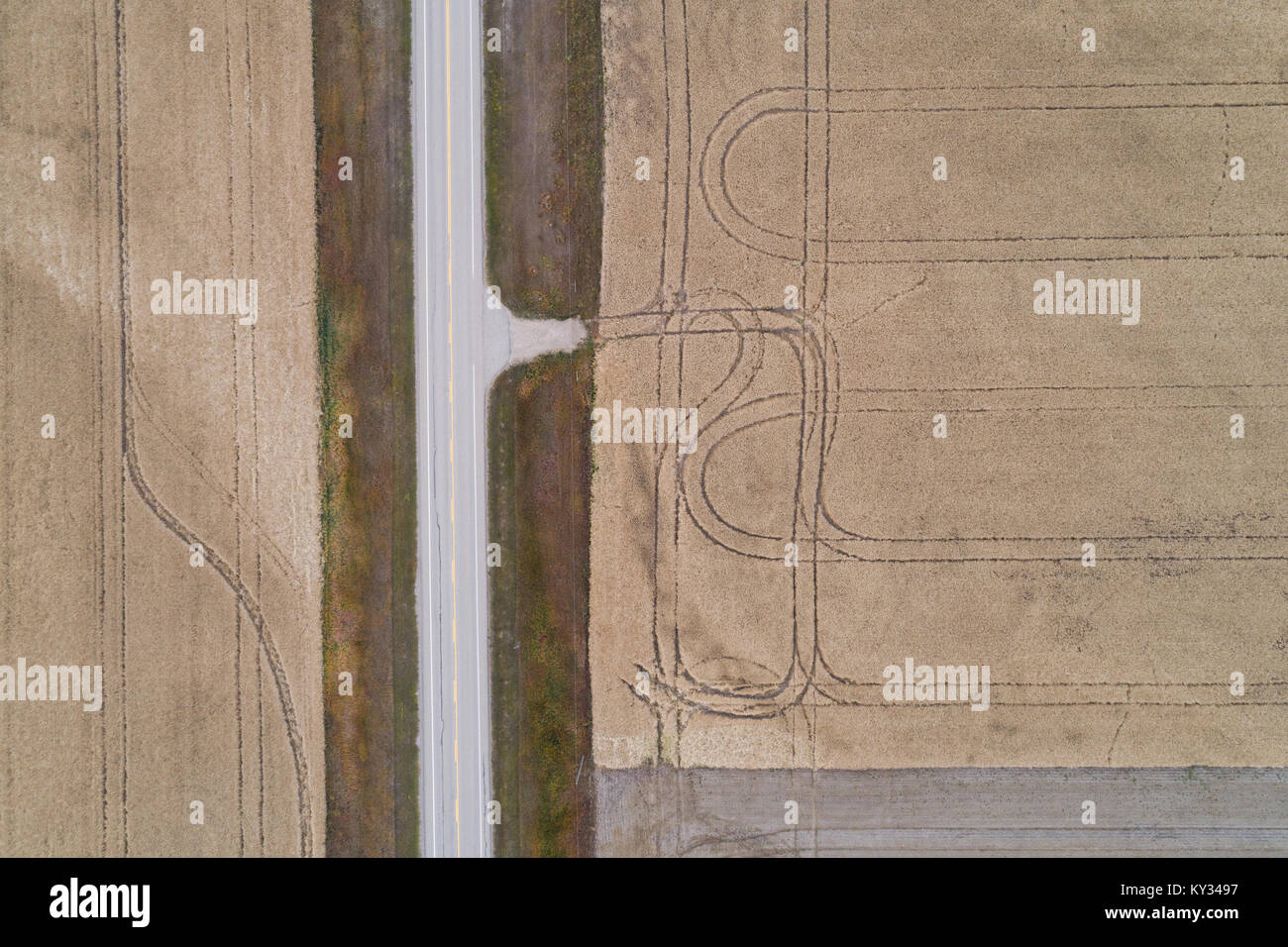 Empty road passing through wheat field Stock Photo - Alamy