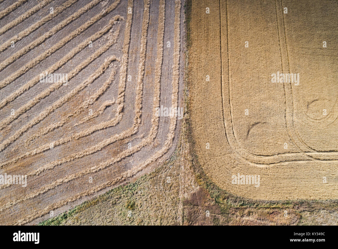 Wheat field patterns hi-res stock photography and images - Alamy