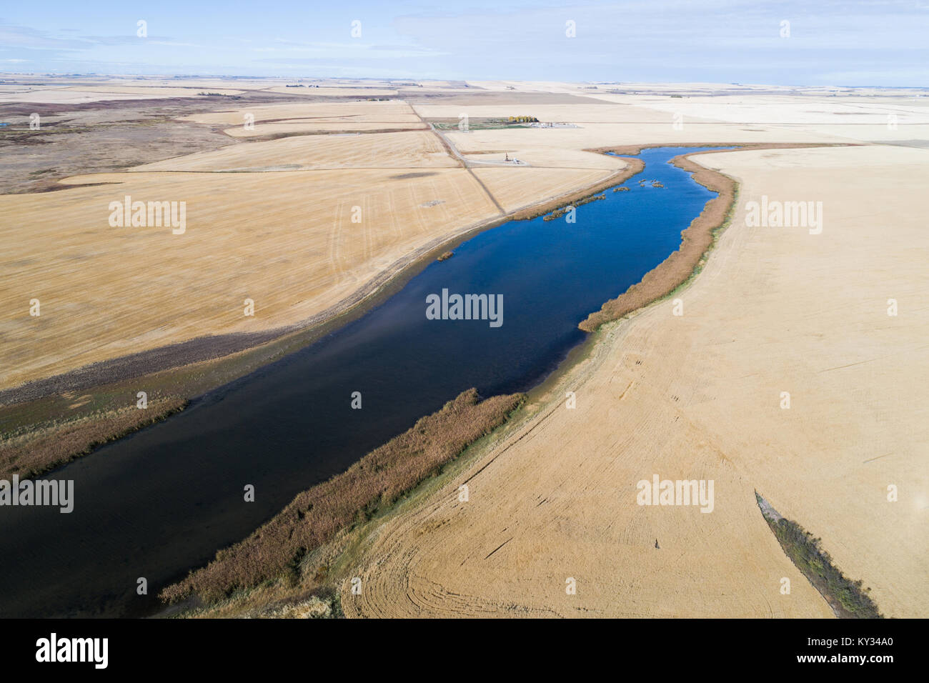 River passing through wheat field Stock Photo - Alamy