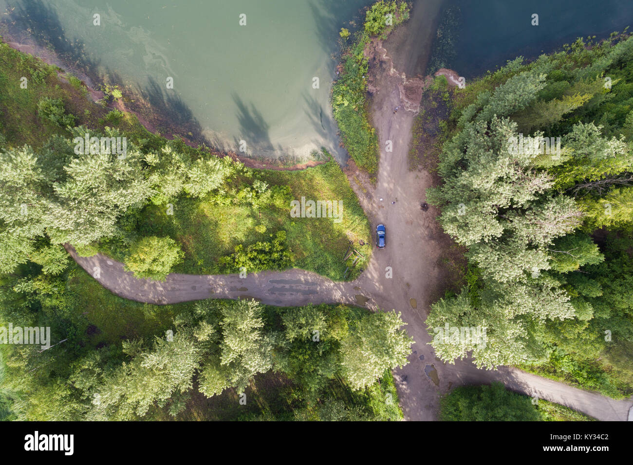 Muddy paths passing through forest Stock Photo - Alamy