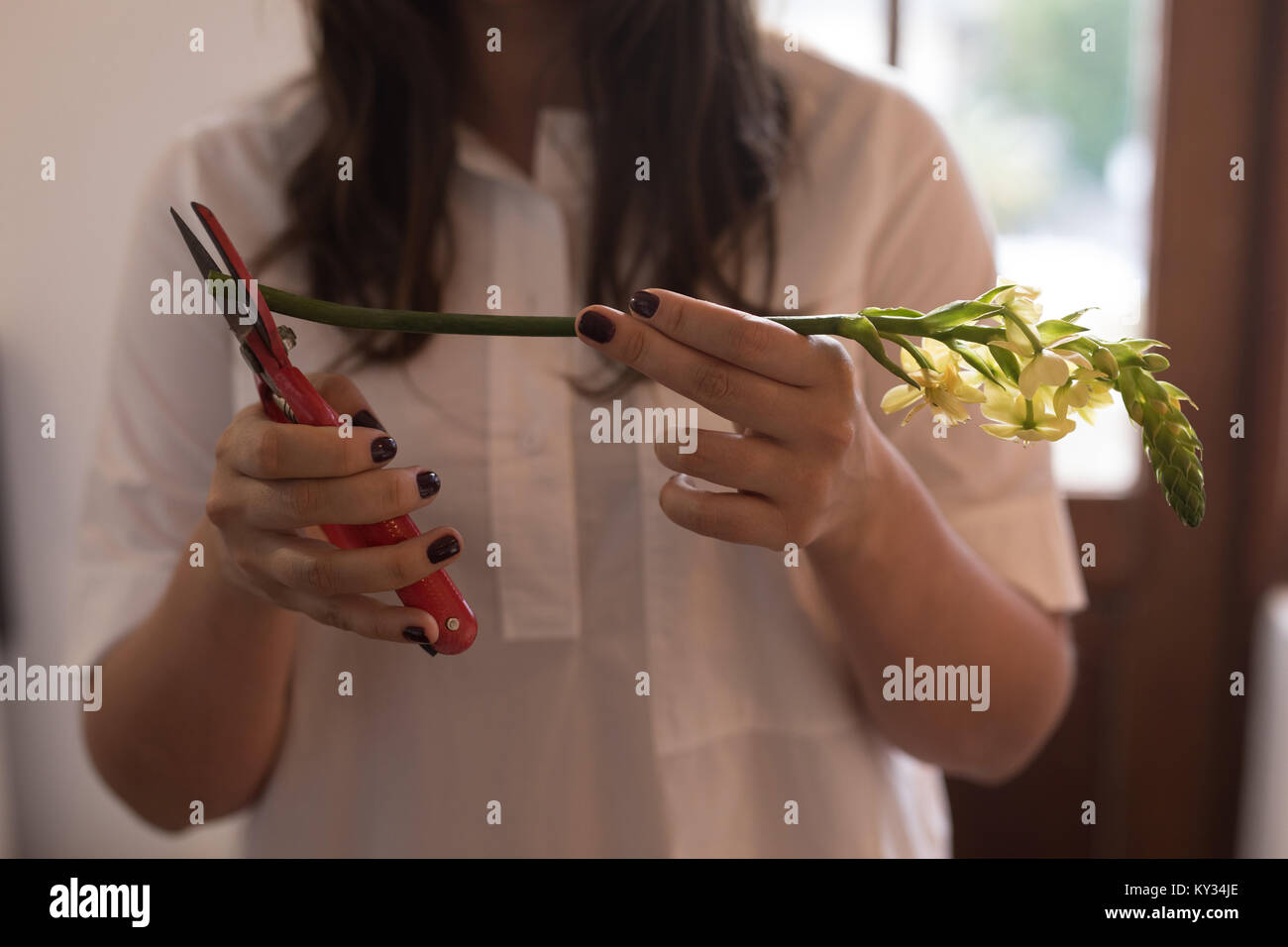 Mid section of woman cutting stem of flower Stock Photo - Alamy