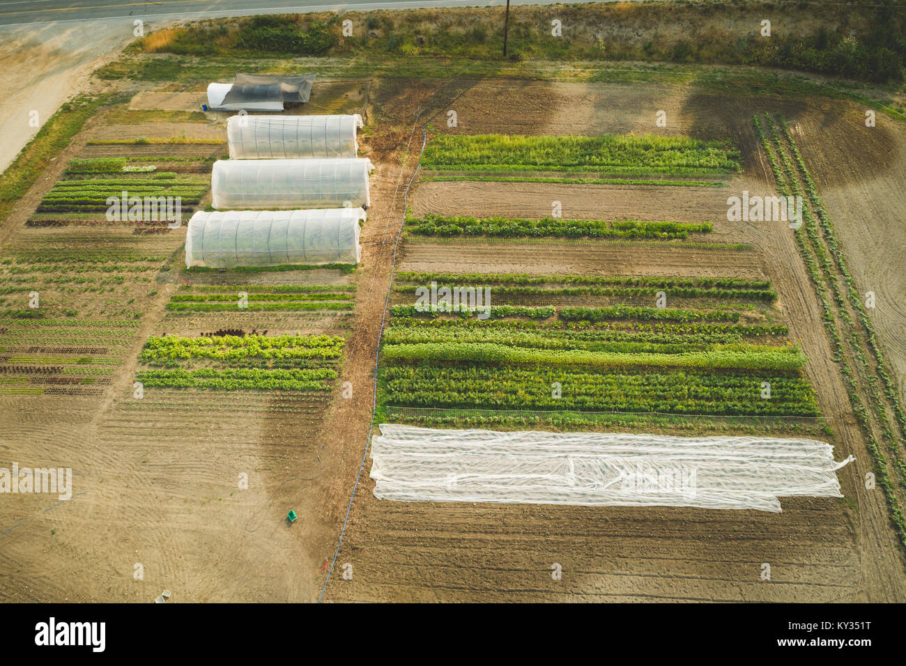 Drone sunny farm hi-res stock photography and images - Alamy