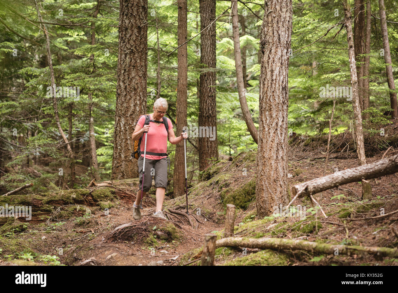 Mature woman hiking in forest Stock Photo - Alamy