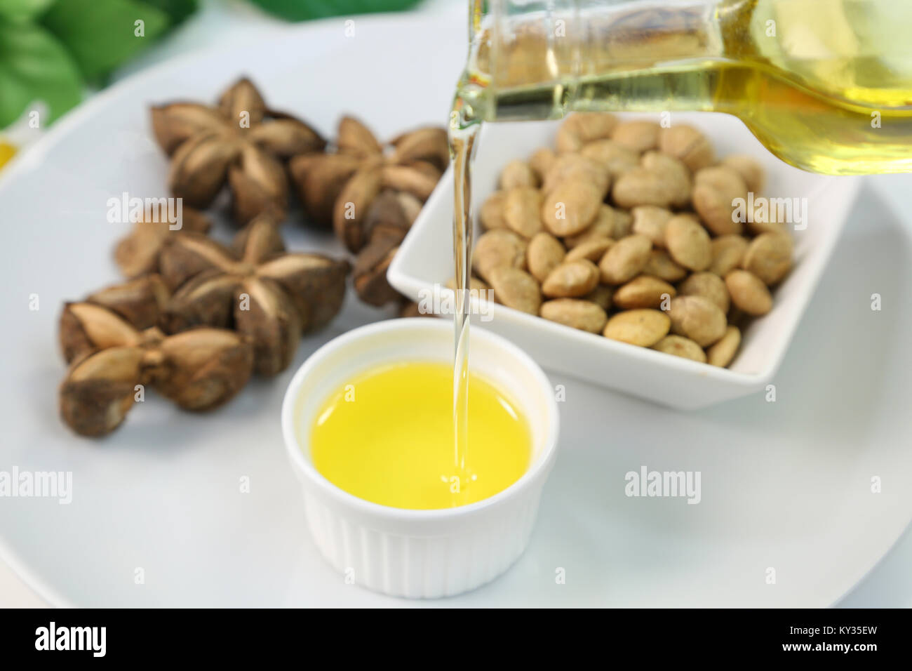 Green nuts oil Stock Photo - Alamy