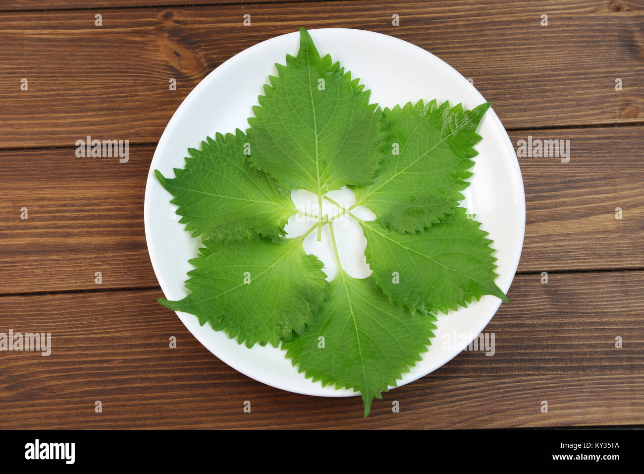 Shiso hi-res stock photography and images - Alamy