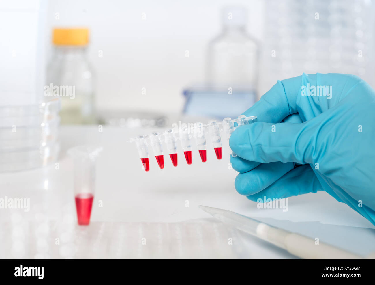 Dna research samples in hi-res stock photography and images - Alamy