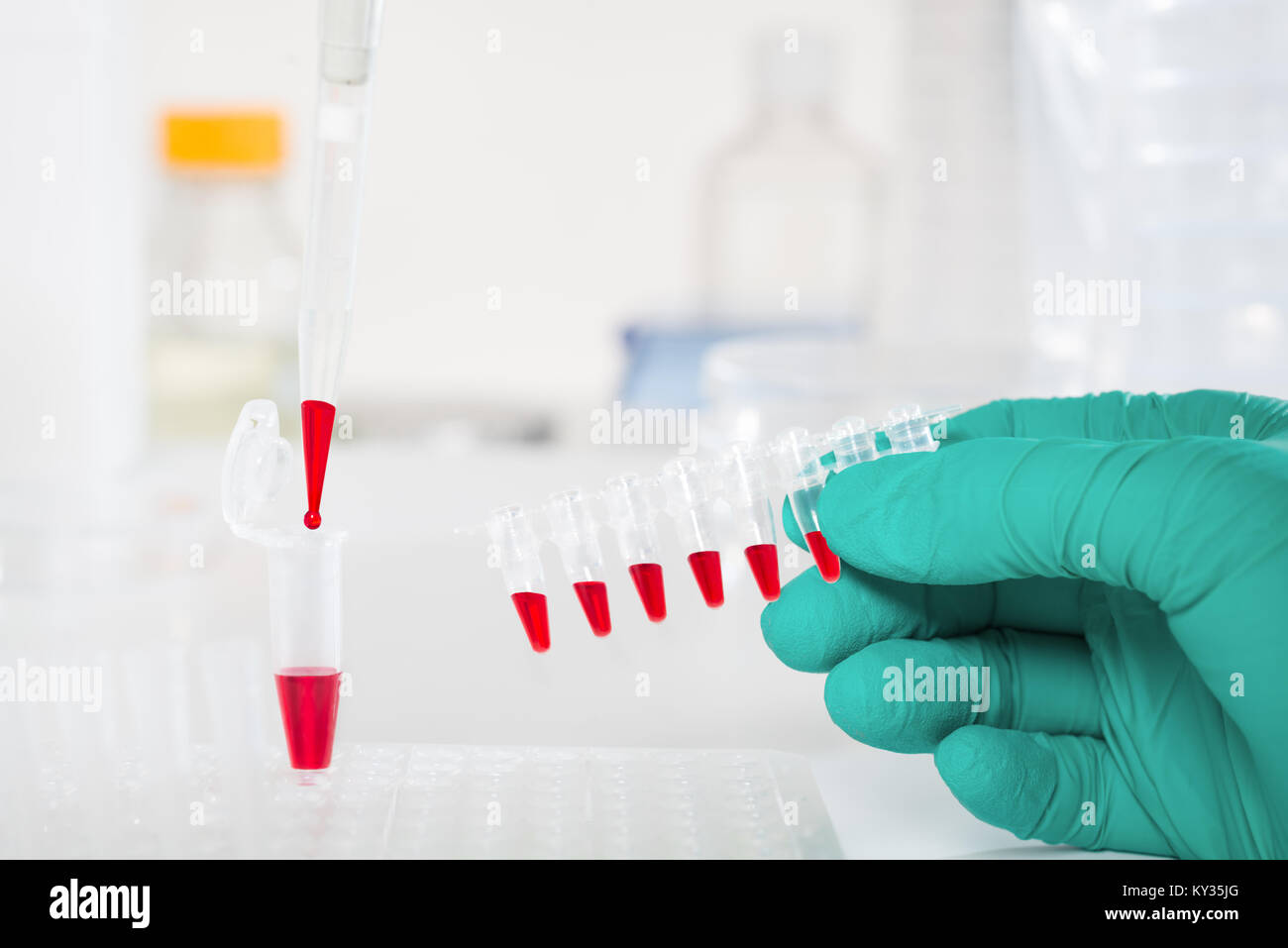 Pcr analyse hi-res stock photography and images - Alamy