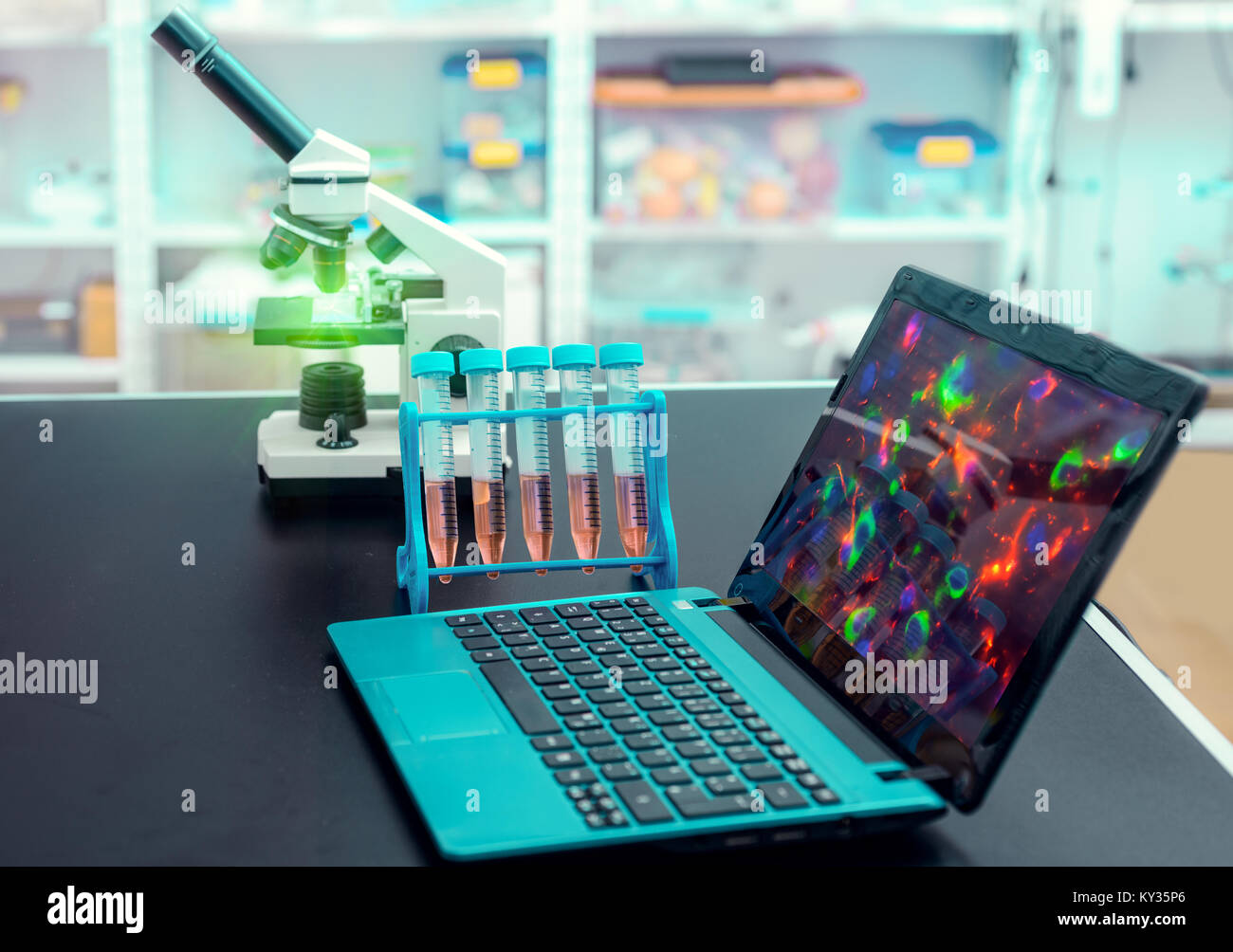 Microscope and portable computer with microscopic image on observation ...