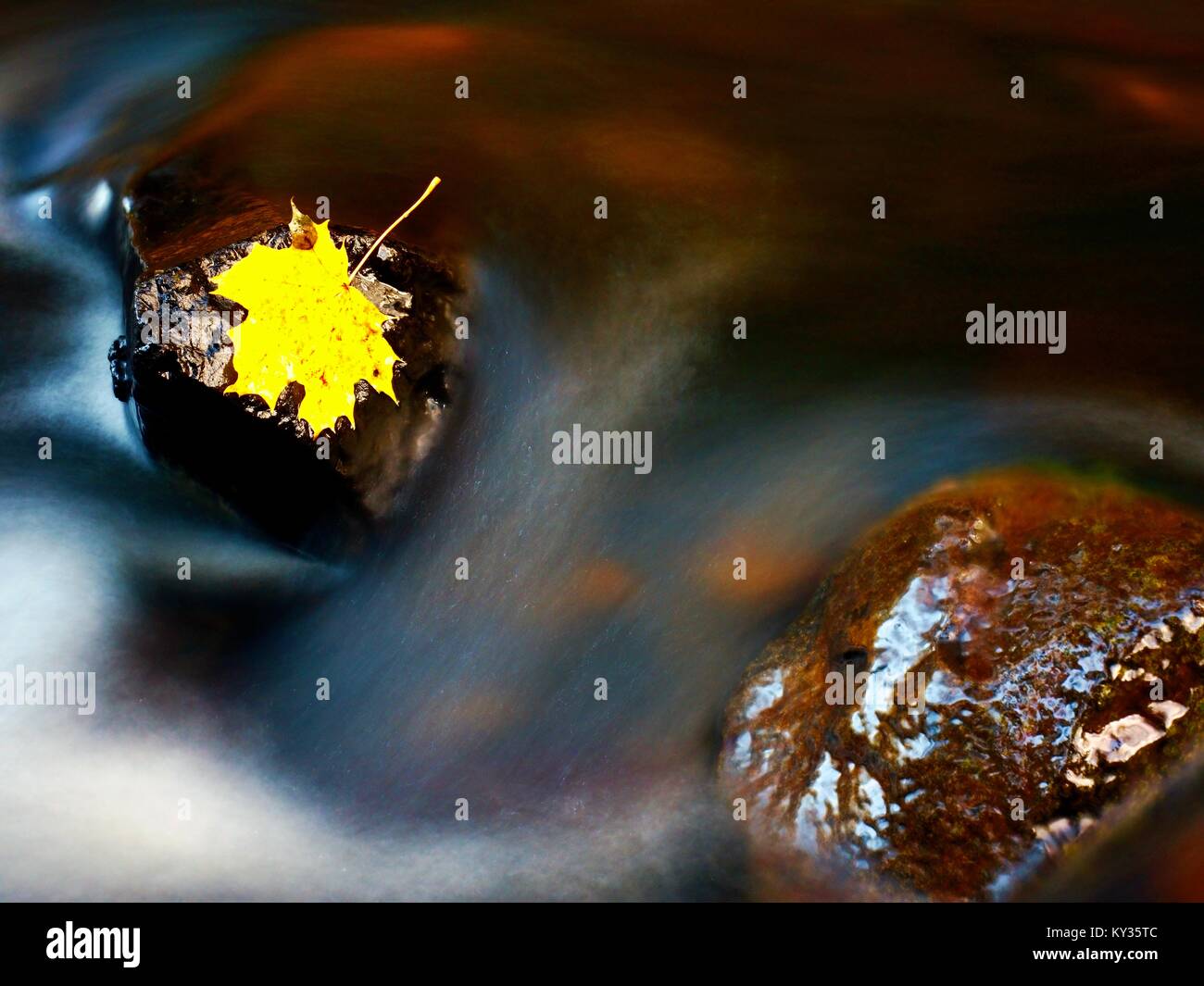 Rotten maple leaf on basalt stone in dark water. Blurred waves of ...