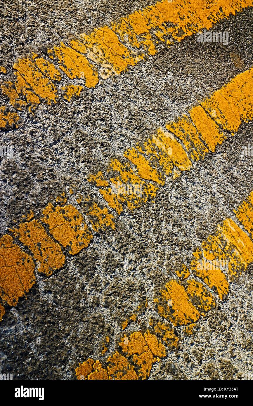 Yellow lines on cracked asphalt Stock Photo - Alamy