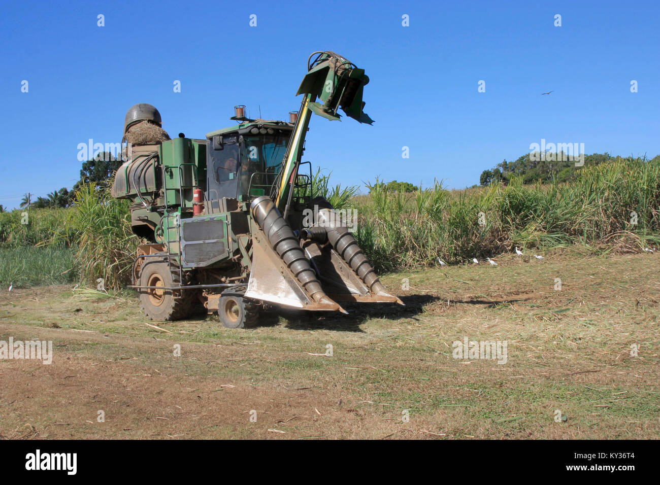 close up of cane harvester with blue sky Stock Photo - Alamy