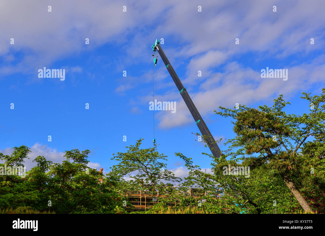 Scaffolding around building crane hi-res stock photography and images ...