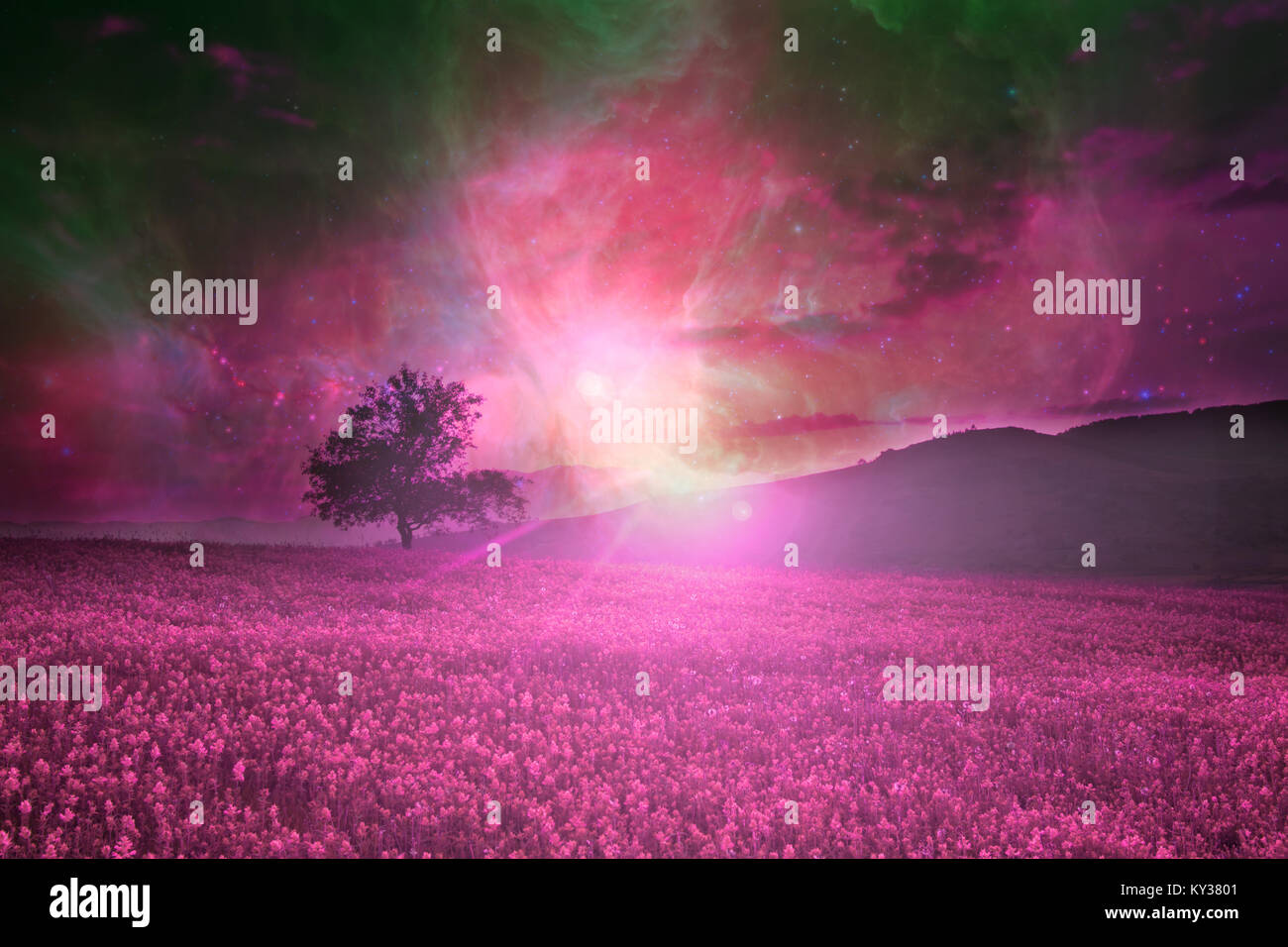 red alien landscape with alone tree over the night sky with many stars ...