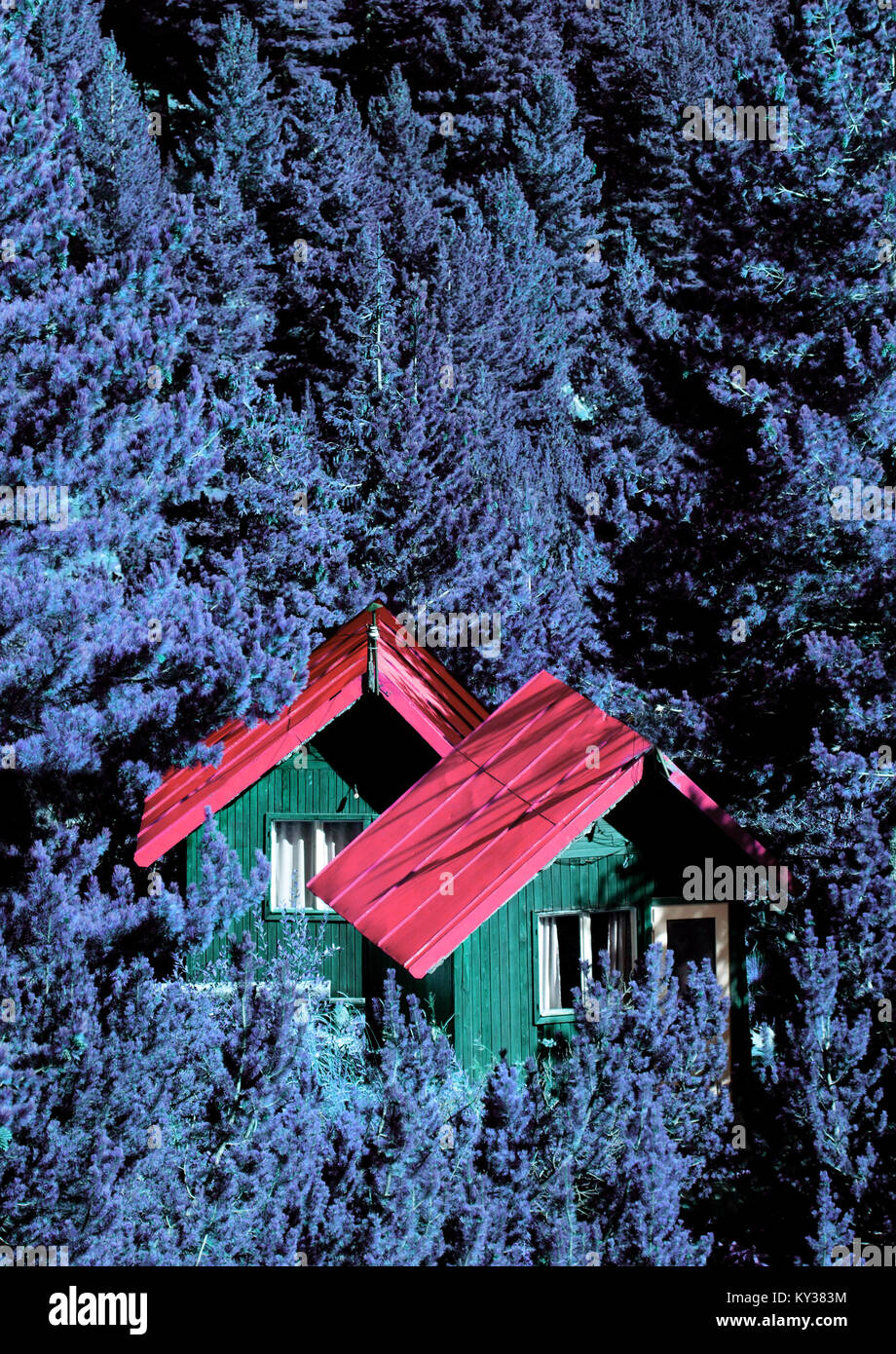 small wooden houses in the forest, abstract infrared landscape Stock ...