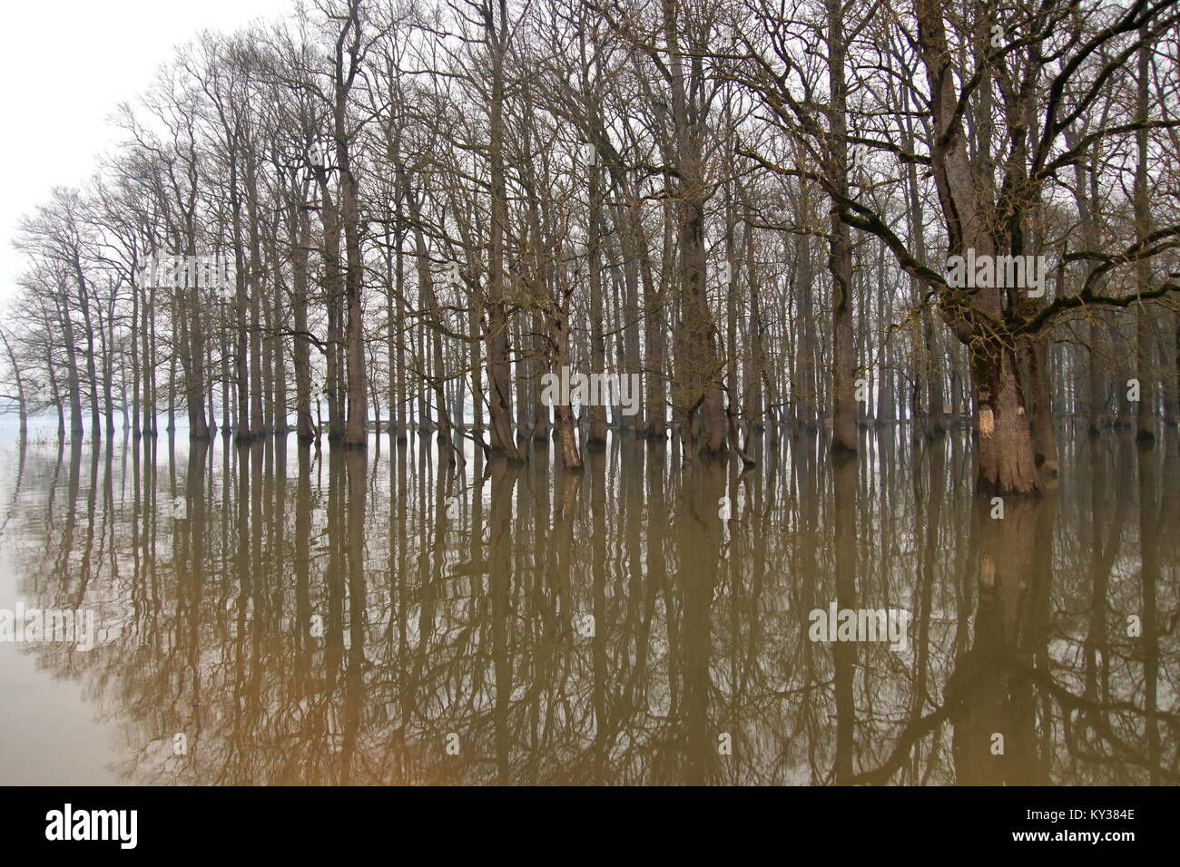 Flood in nature Stock Photo - Alamy