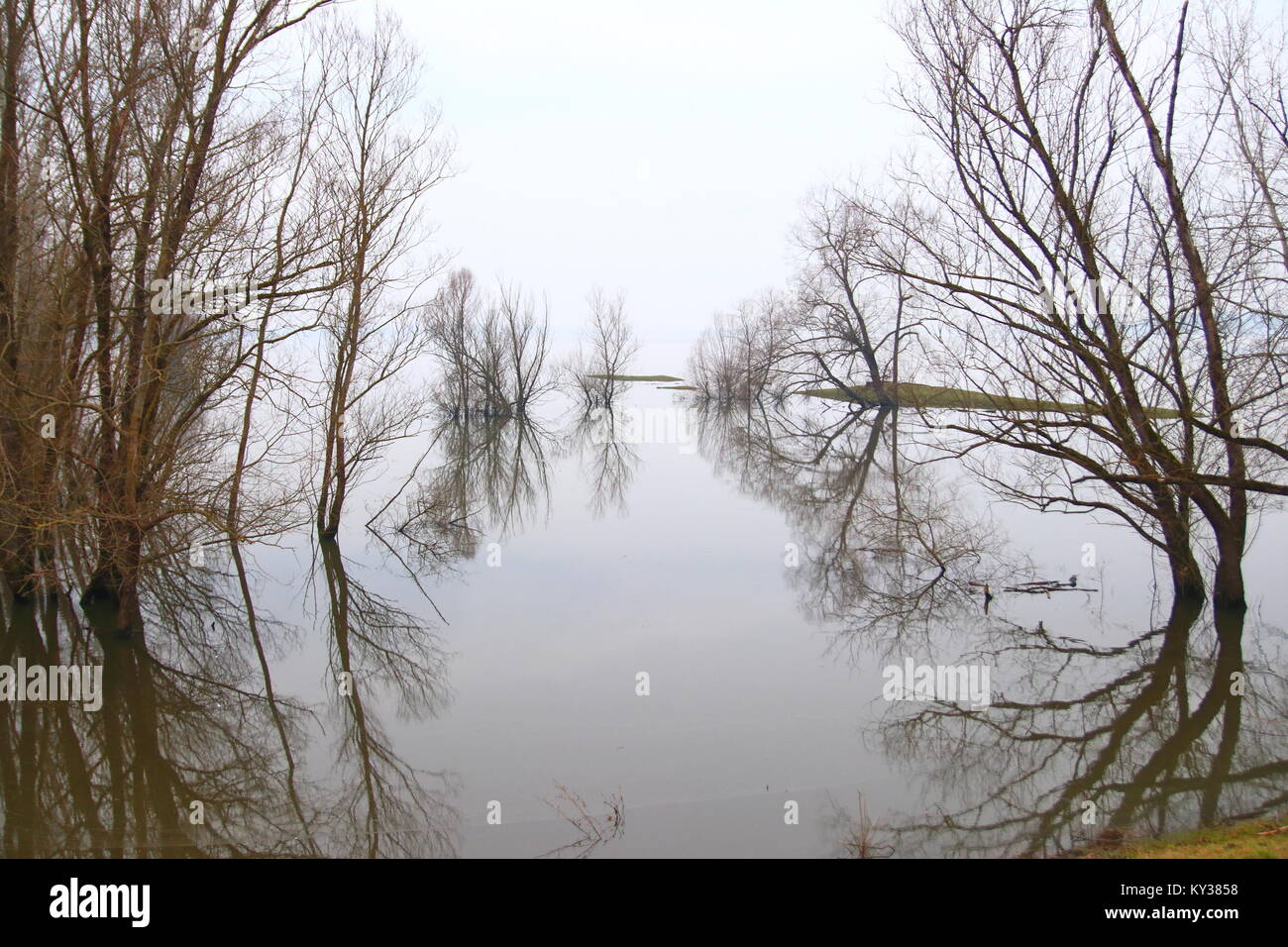 Flood in nature Stock Photo - Alamy