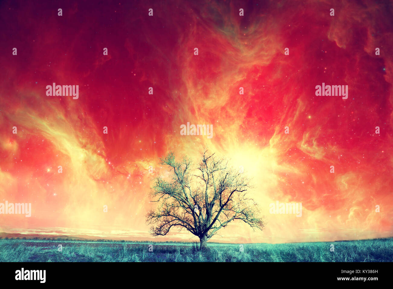 red alien landscape with alone tree over the night sky with many stars ...