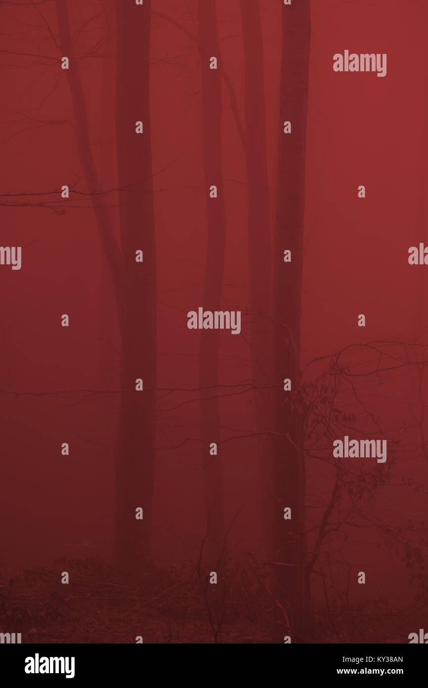 Dark red mysterious background design hi-res stock photography and ...
