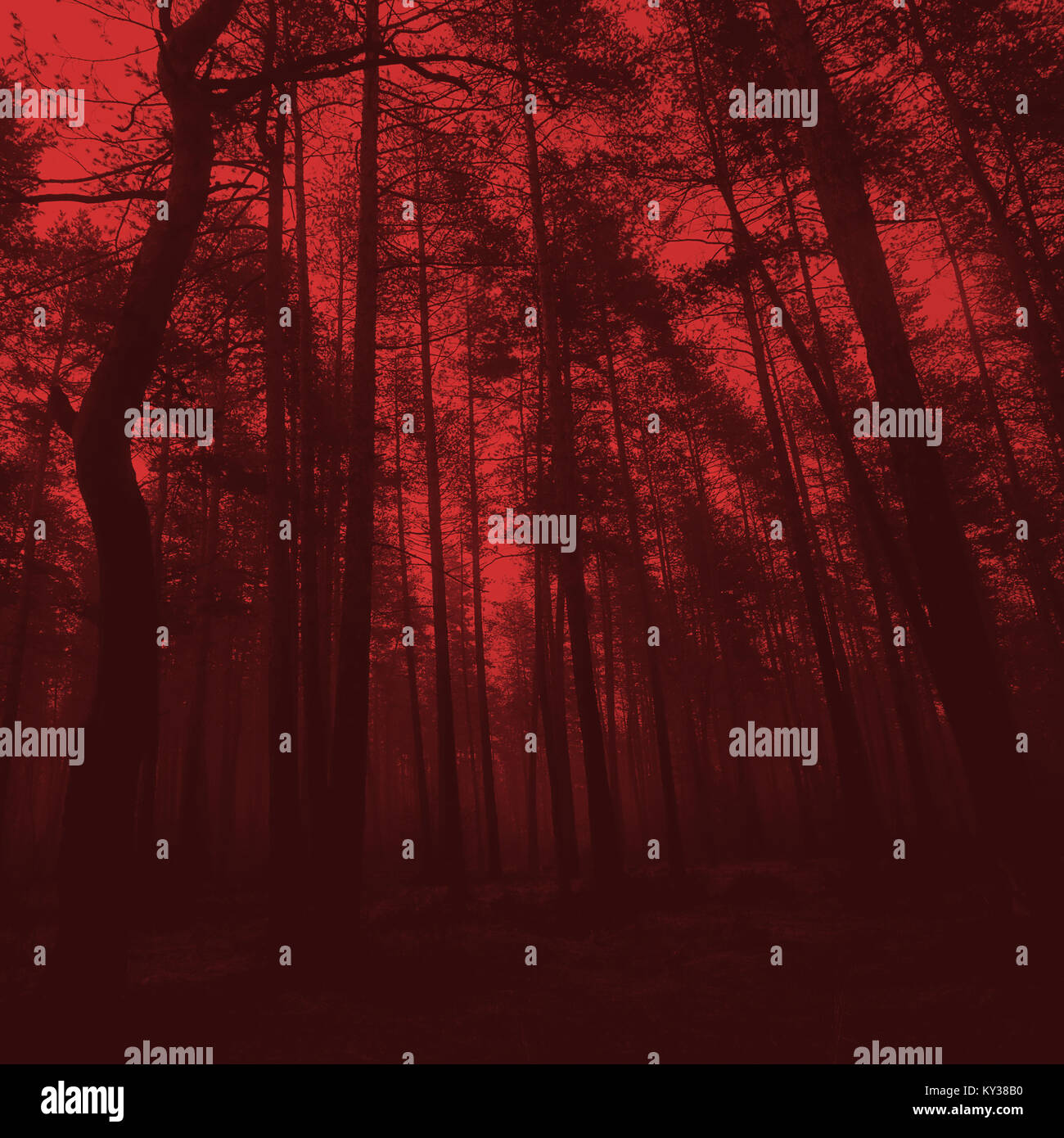 Creepy Red Forest Wallpaper