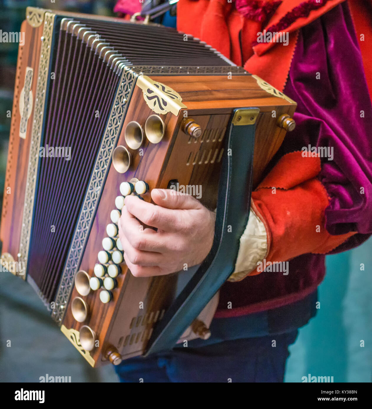 The musician playing the accordion. Close-up detail of hand Stock Photo ...