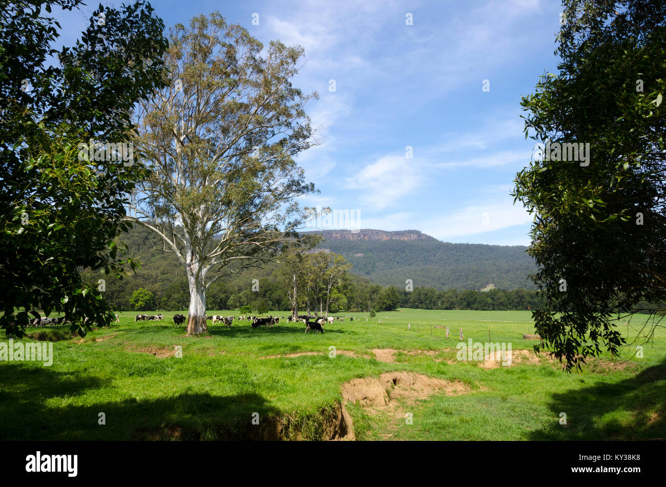 Kangaroo Valley, New South Wales, Australia Stock Photo - Alamy