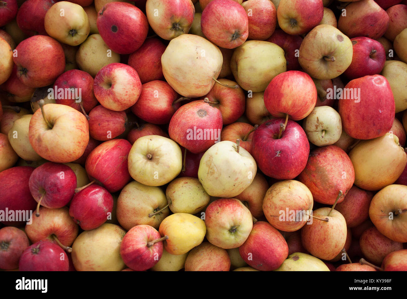 Apples from above hi-res stock photography and images - Alamy