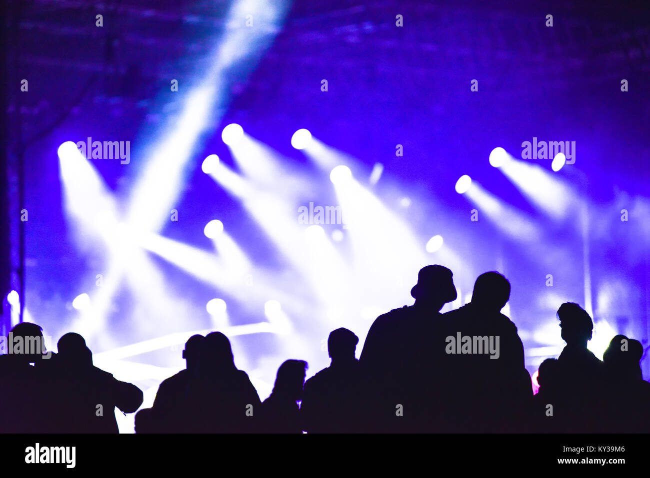 Cheerful crowd partying at a concert. Group of friends enjoying music ...