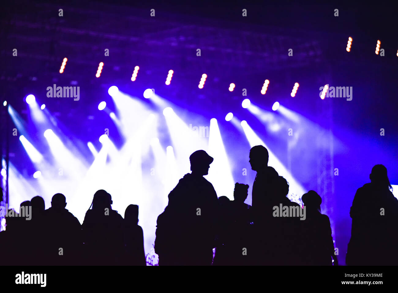 Group of friends enjoying music festival together. Silhouette of ...