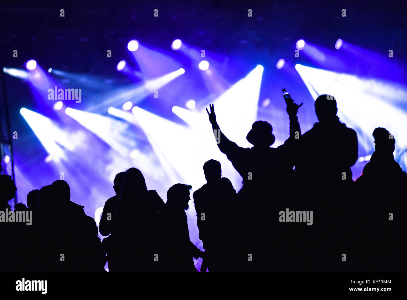 Cheerful crowd partying at a concert. Silhouette of friends socializing ...